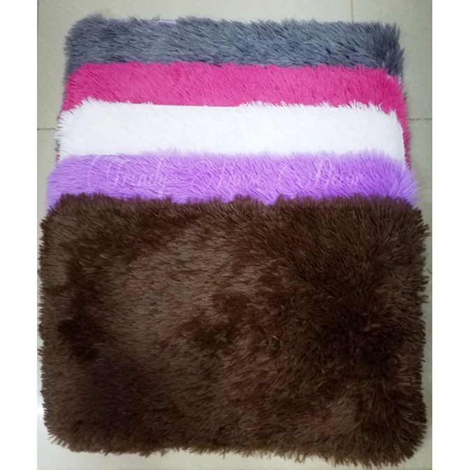 Super Soft Fluffy Silky Faux Door Mat Anti Slip Backing (40*60cm ...