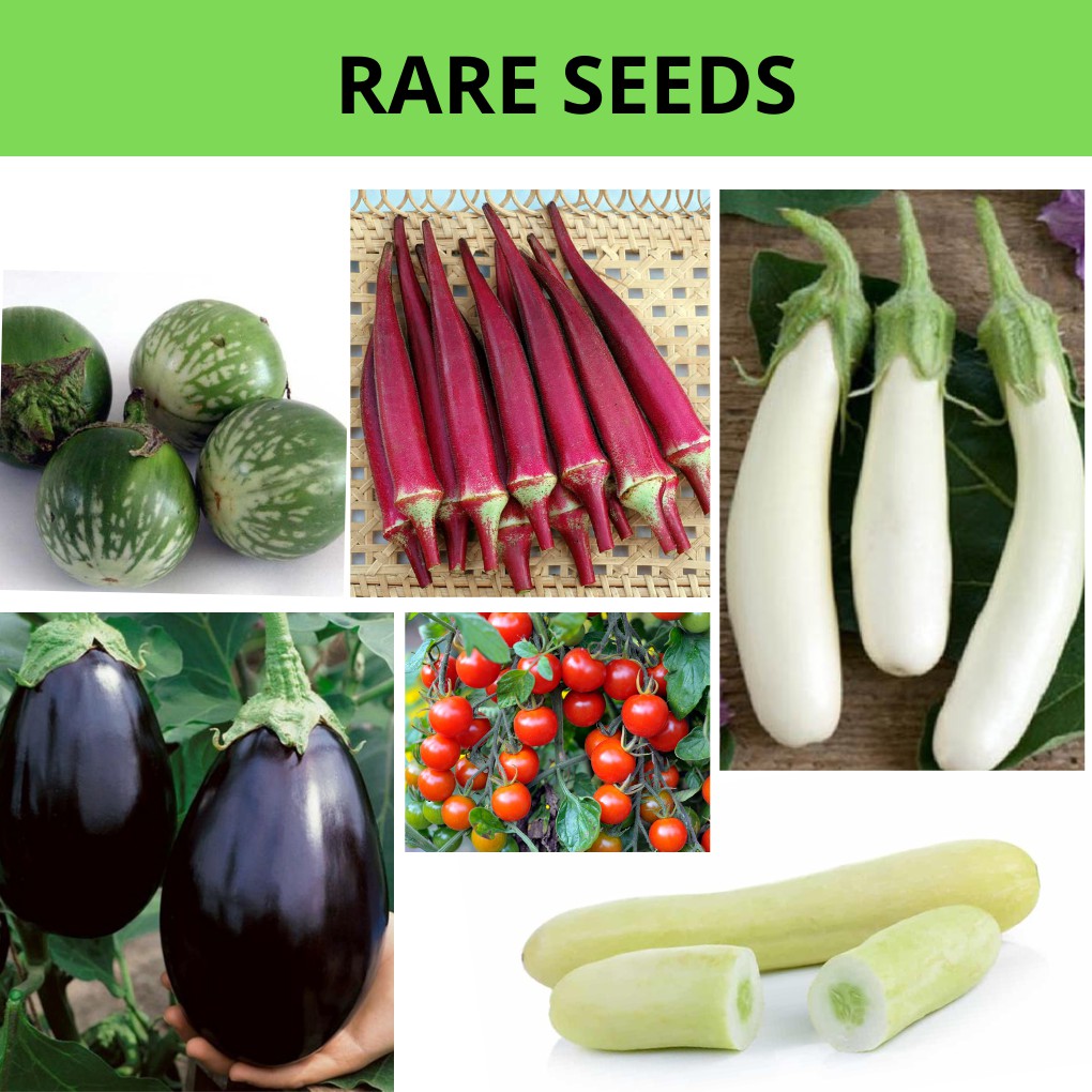 Rare Vegetable seeds and Fruit seeds 3rd Batch | Shopee Philippines