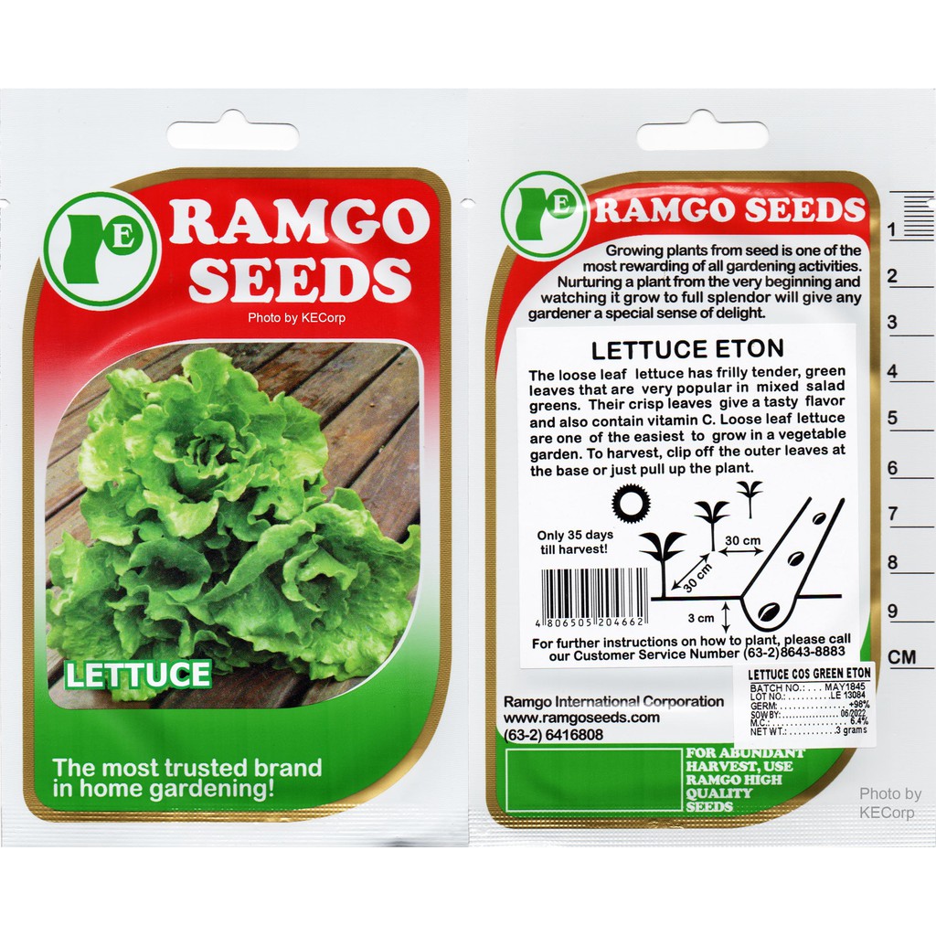 Ramgo & Yates Lettuce Seeds - Sold per Pack per Variety KECORP_S1 ...