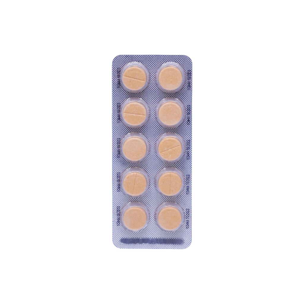 TGP NASAFER Paracetamol + Phenylephrine Hyrdochloride 10 tablets 500mg ...