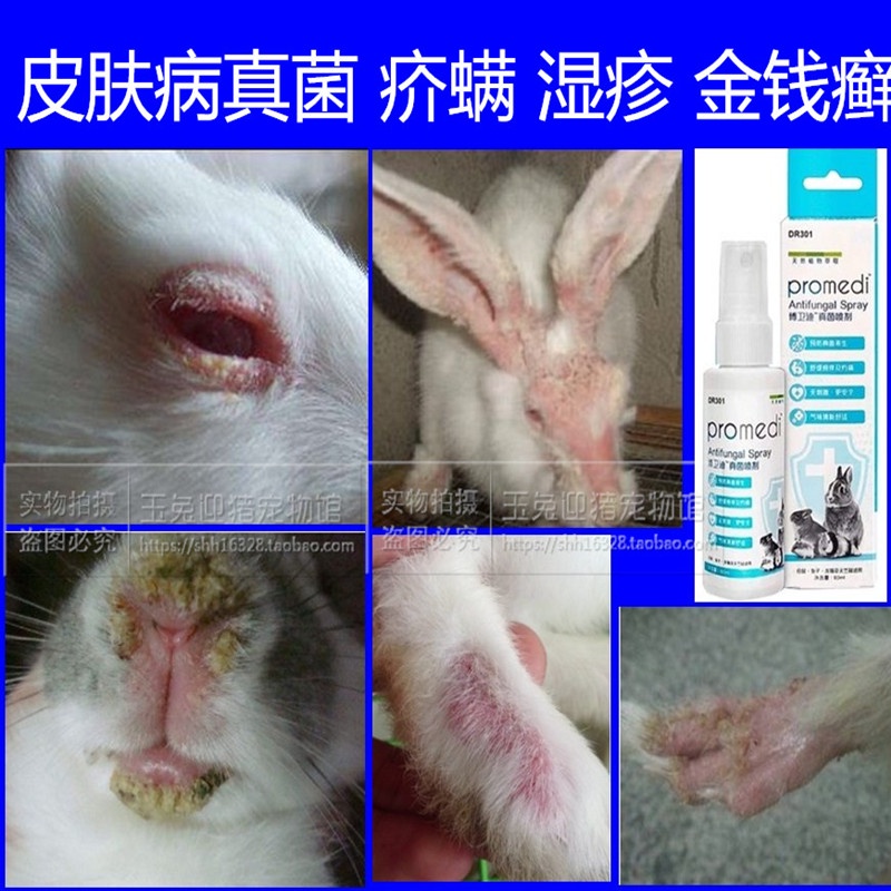 Rabbit Medicine special purpose chemicals Rabbit doctor DR301 fungus ...