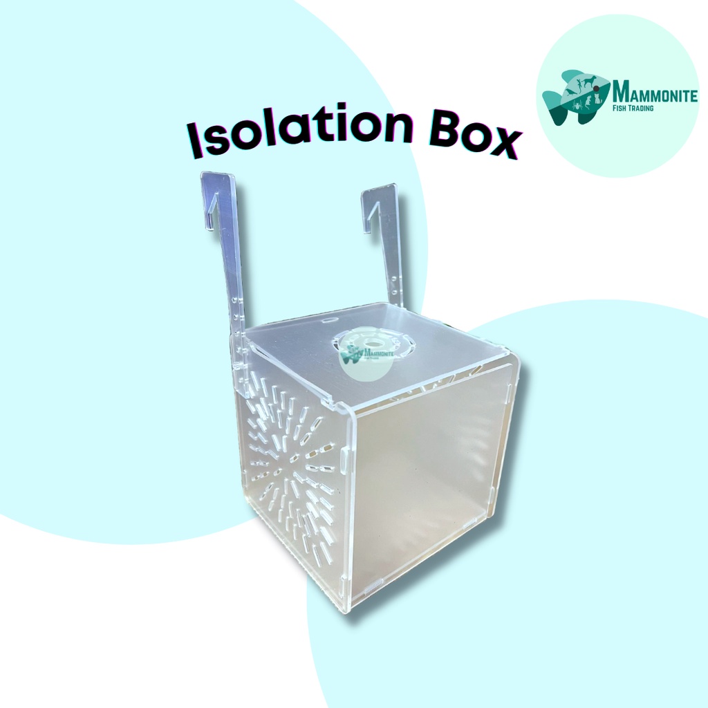 Aquarium Tank Isolation Box Breeder Hatchery Acrylic Division GL1010 ...