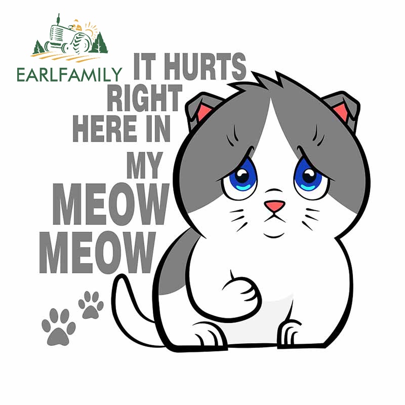 EARLFAMILY 13cm x 12.1cm For Sad Kitty Cat Motorcycle Car Stickers ...