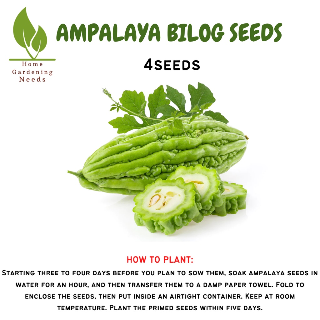 Vegetable Seeds (Pechay Talong Kamatis Upo Okra Labuyo Sitaw Carrot ...