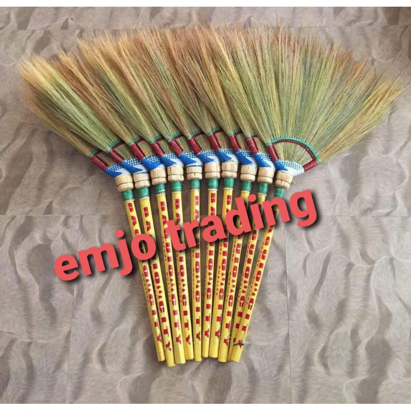WALIS TAMBO BAGUIO CITY SOFT BROOM CHEAPEST PRICE | Shopee Philippines