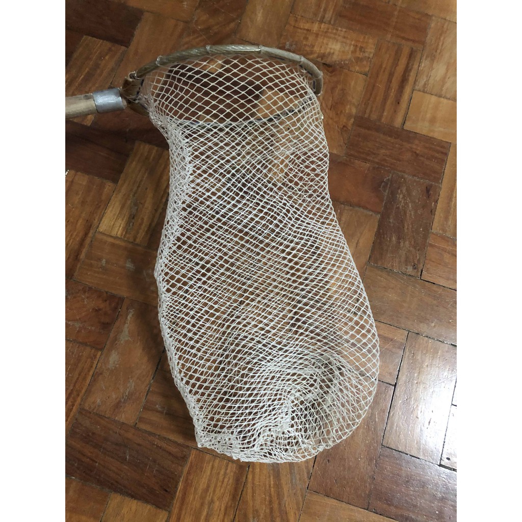 Flexible Bird Catching Net | Shopee Philippines