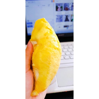 Durian ri 6 (with rice) | Shopee Philippines