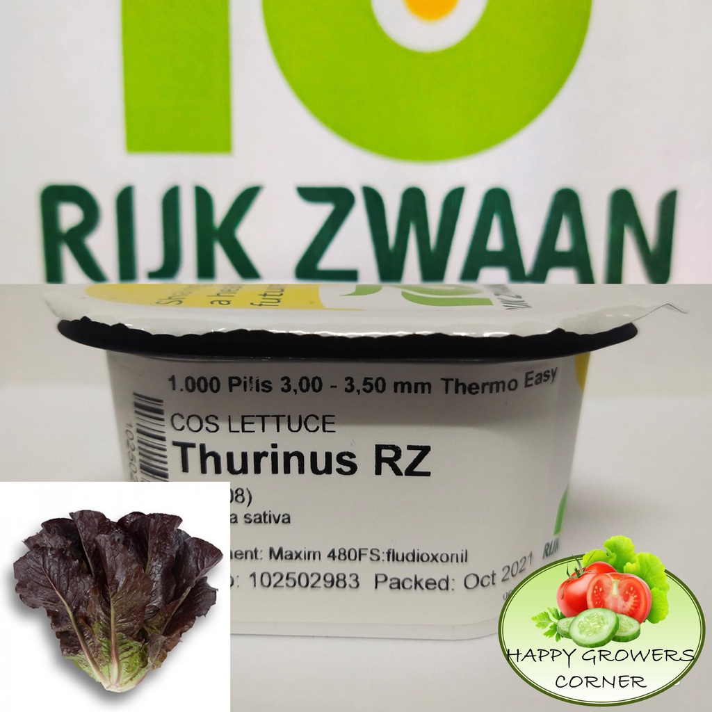 Thurinus RZ Red Cos/Romaine Lettuce by RIJK ZWAAN (1,000 pills Original ...