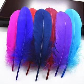feather - Best Prices and Online Promos - Nov 2024 | Shopee Philippines