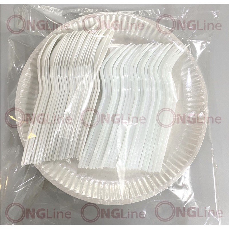 75 pcs | Paper Plates with Disposable Spoon and Fork | Party Supplies ...