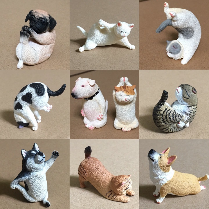 Japanese Bulk Cargo Practicing Yoga Small Cat and Dog Baby Shiba Inu ...