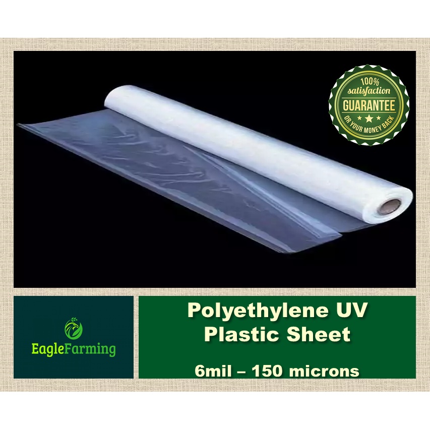 UV Plastic Sheet (6mil - 150Microns) 10ft x 50 Meter - Greenhouse ...
