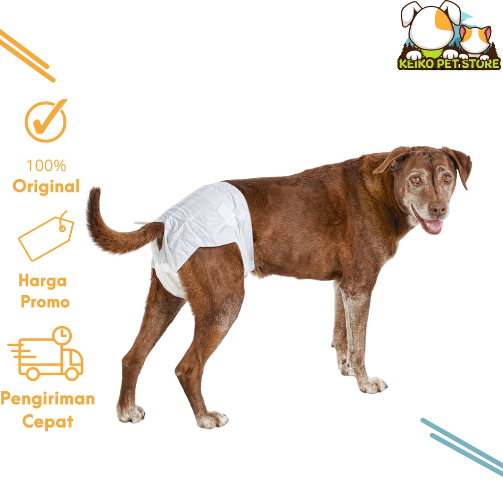 Male Cat Dog DIAPER DIAPER - Retail Cat Dog DIAPER Pampers | Shopee ...
