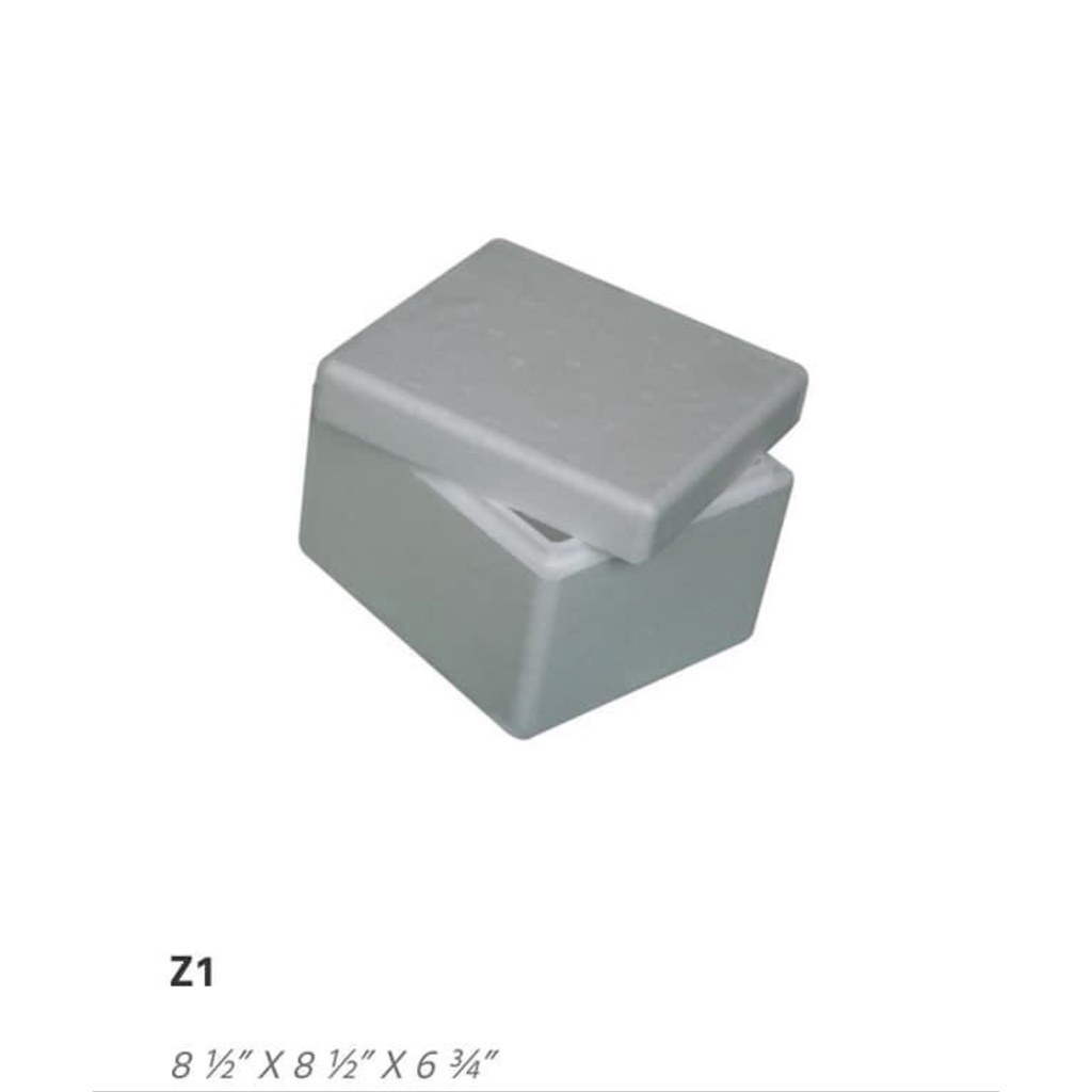 STYRO BOX / Z1 BOX / PORTABLE STYRO BOX | Shopee Philippines