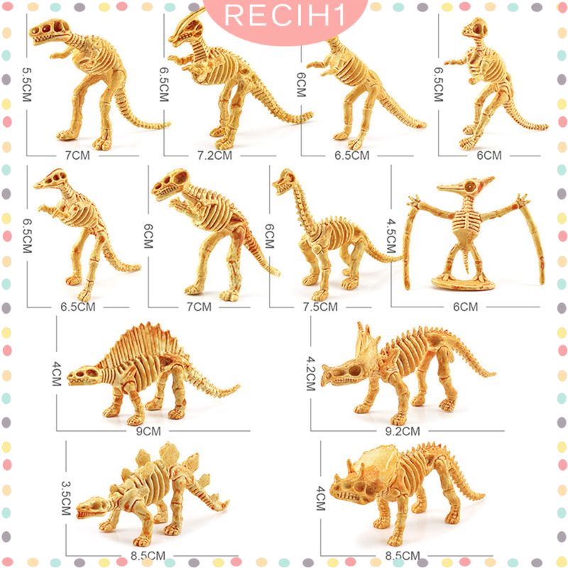 Dinosaur Skeleton Kids Toys Pack of 12 Scientific Exploration Dinosaur ...