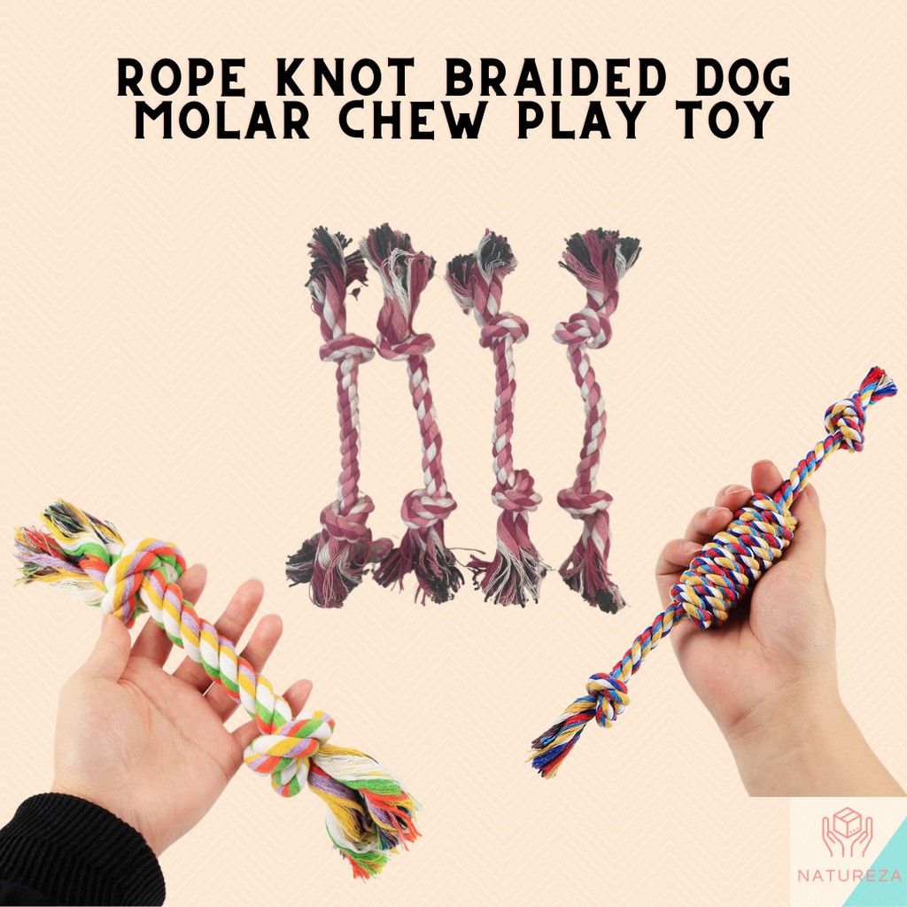 Rope Knot Braided Dog Molar Chew Play Bite Toy | Shopee Philippines