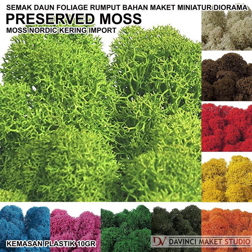 Preserved Moss Dried Reindeer Nordic - Foliage Leaf Bush Diorama ...