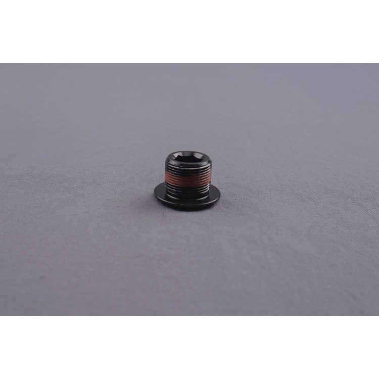 Skeace Outboard Bolt | Shopee Philippines