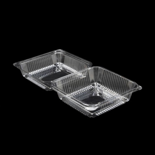 10pcs Plastic Square Hinged Container Clamshell L500 | Shopee Philippines