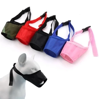 busal - Best Prices and Online Promos - Jun 2024 | Shopee Philippines