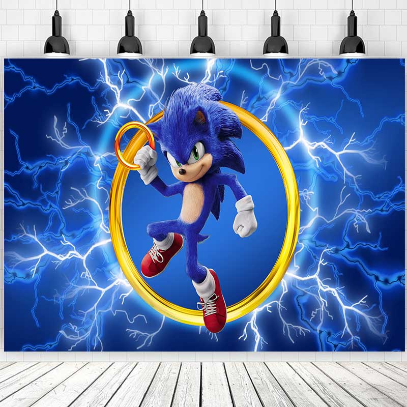 5 Options Sonic with Friends For baby Birthday Backdrop Photography ...