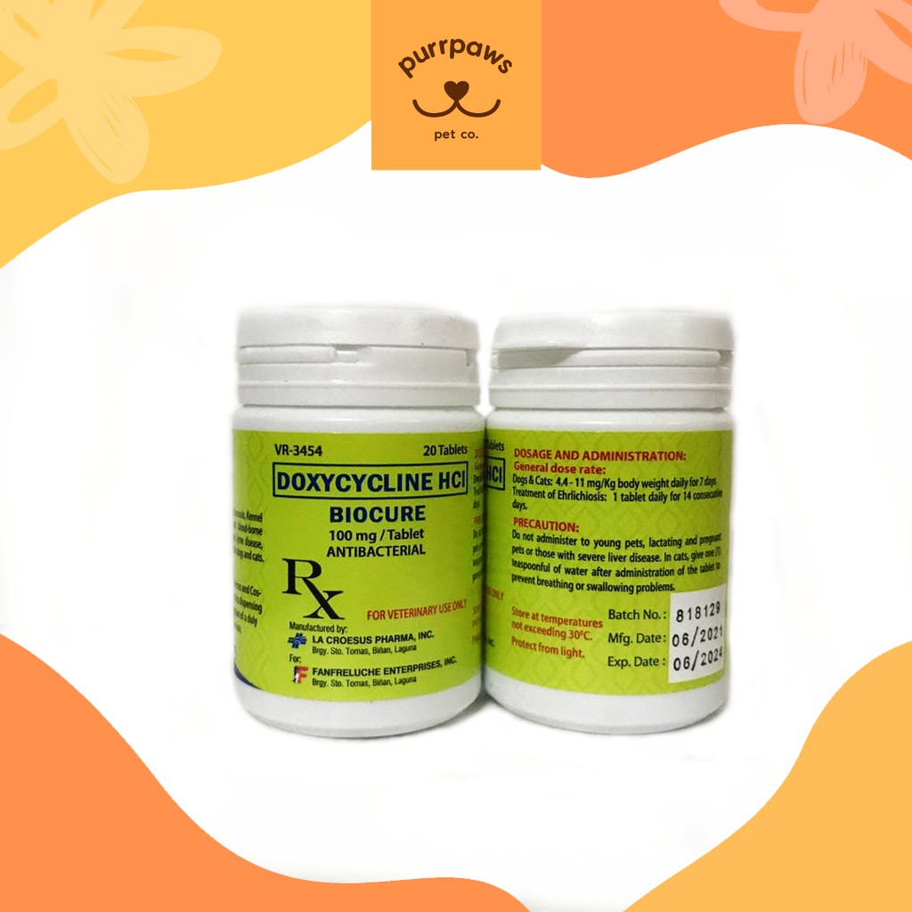 BIOCURE Pet Tablets (20 Tablets) JAN 2028 EXPIRY | Shopee Philippines
