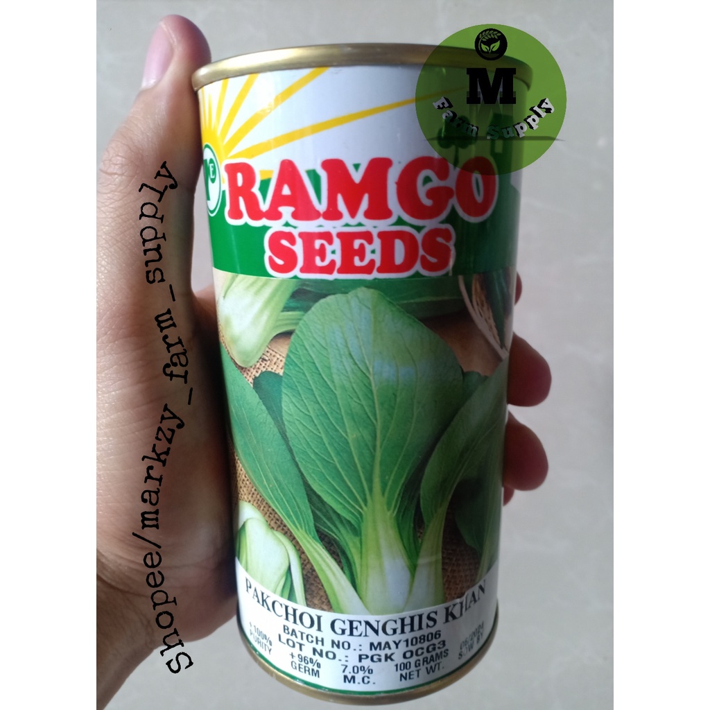 Ramgo Seeds in Can 100 grams (Ampalya, Beans, Cucumber, Mustard, Pechay ...