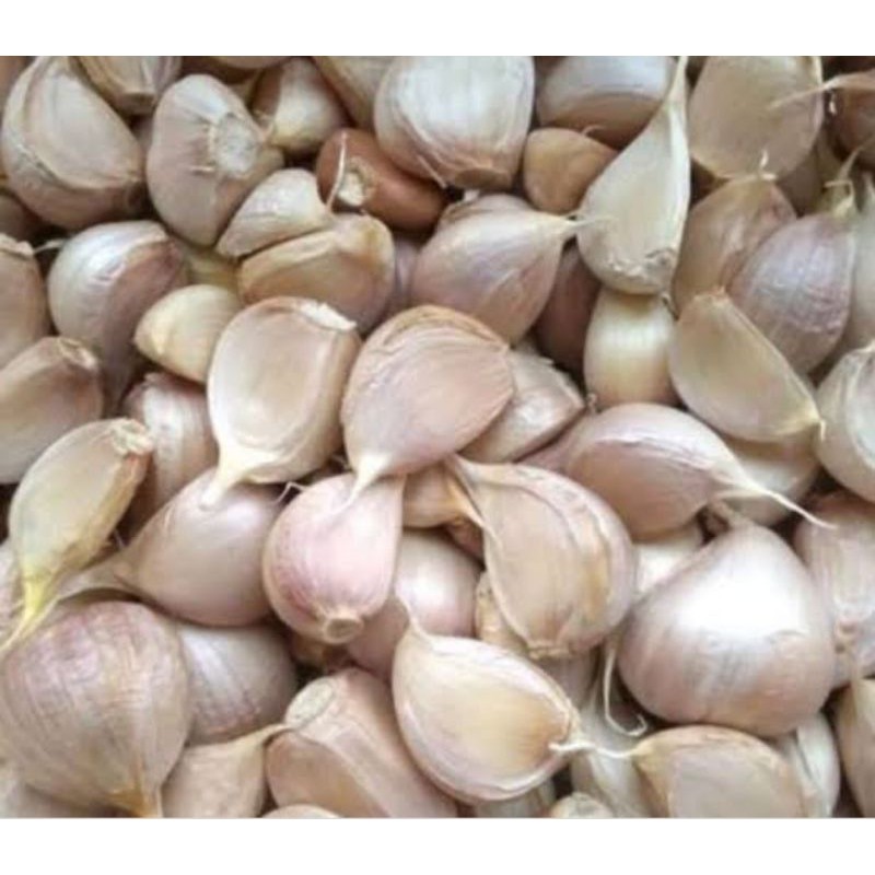 PUTIH Kating Garlic / 250gram | Shopee Philippines