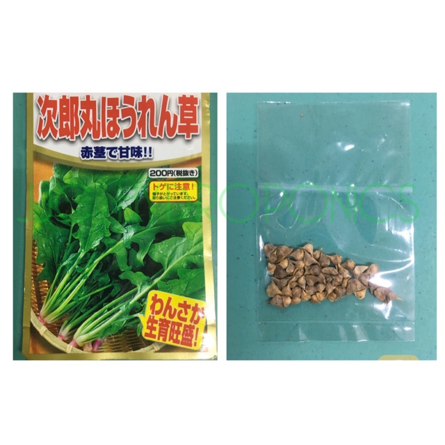horenso japan / spinach / seed | Shopee Philippines