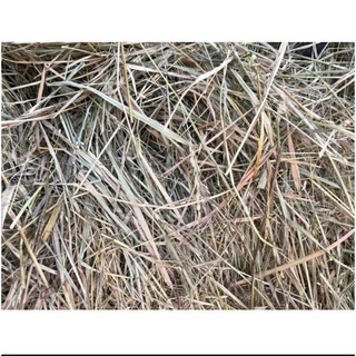 1 sack dayami. rice straw | Shopee Philippines