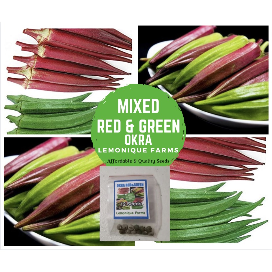 okra seeds green okra seeds smooth | okra seeds | okra green seeds ...