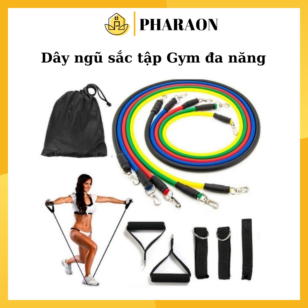 Full Body Multi-Purpose Gym Bands - Gym Resistance Bands, Home Gym ...