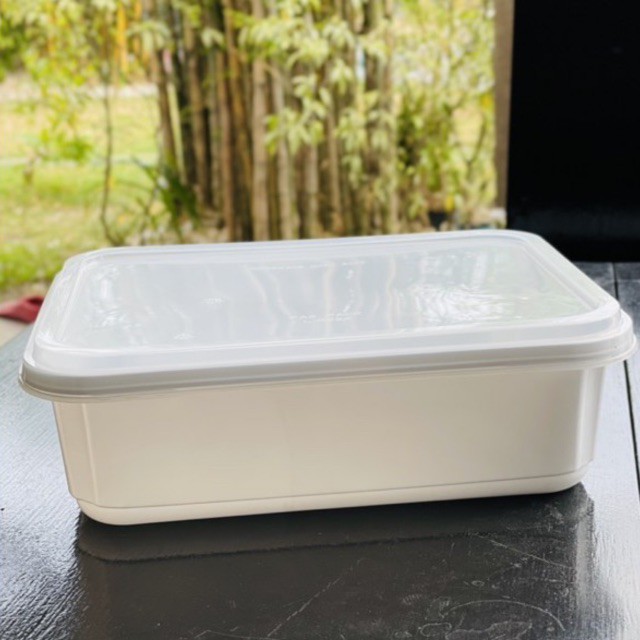 RE5000 Microwavable Container 5pcs/pack | Shopee Philippines