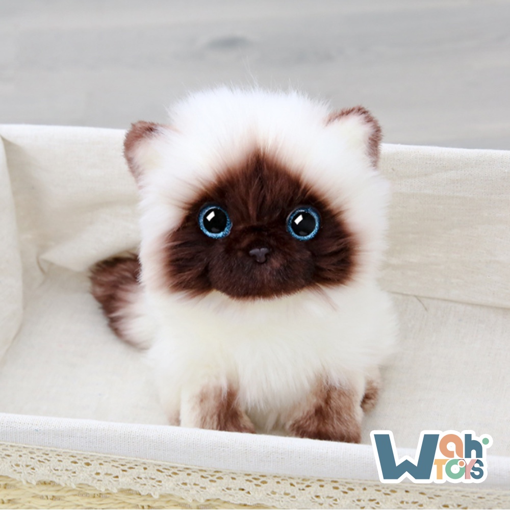 【COD】20cm Ragdoll Cat Cuddly Toy Cute Cat Plush Toys Cat Doll Siamese ...