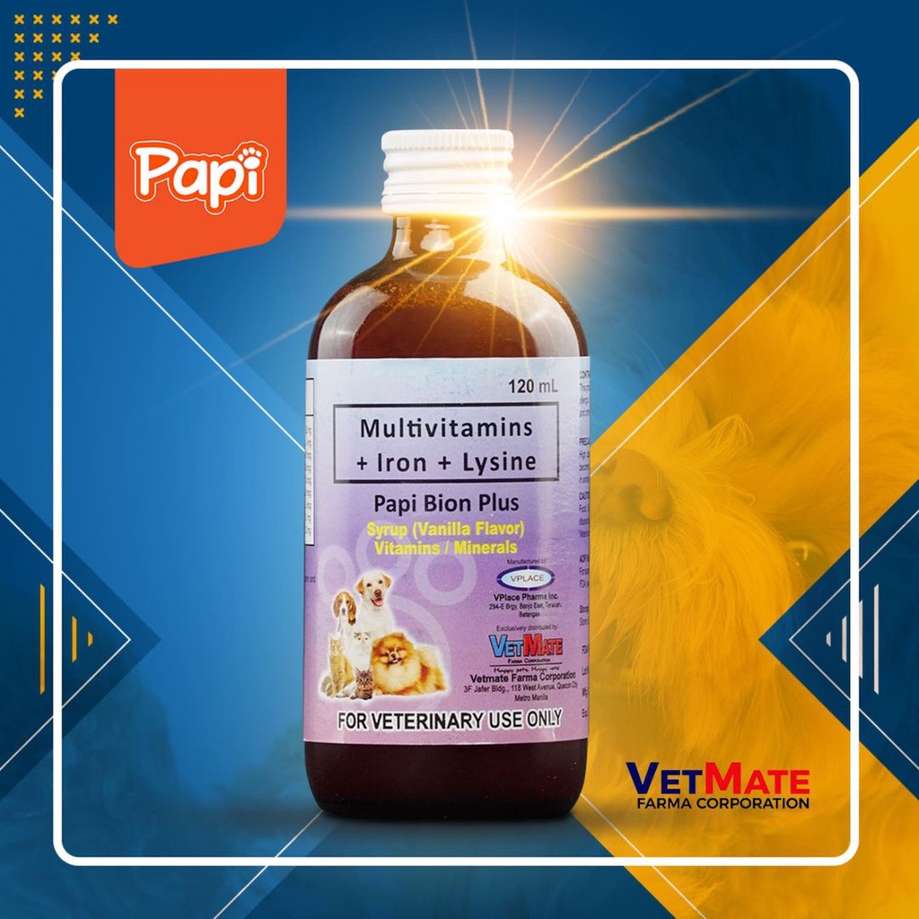 Papi Bion Plus Iron + Lysine + Multivitamins Food Supplement (120ml ...