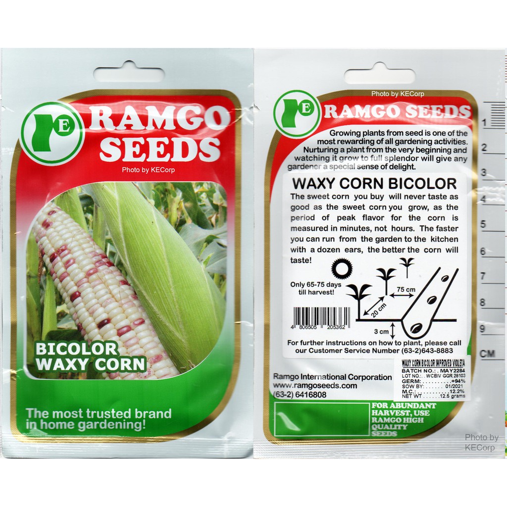 Ramgo or Condor White, Sweet, Purple, BiColor, Hybrid Corn Sold per ...