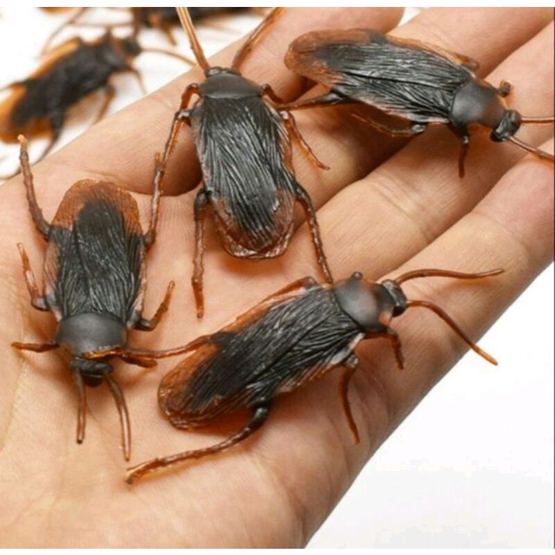 2pcs Fake rubber Cockroach Ipis funny Prank toy special life like model ...