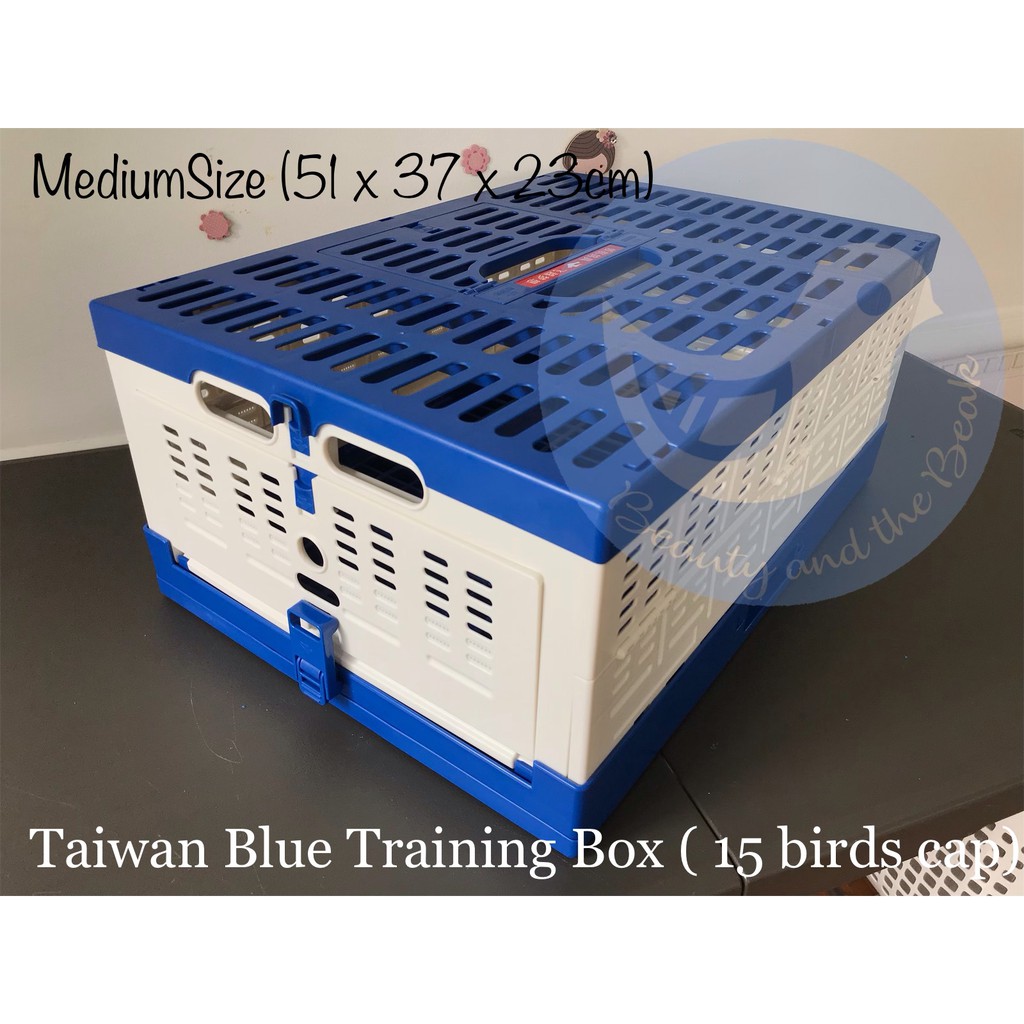 Pigeon Premium Blue Training Box Cage TBox Foldable SMALL MEDIUM ON ...