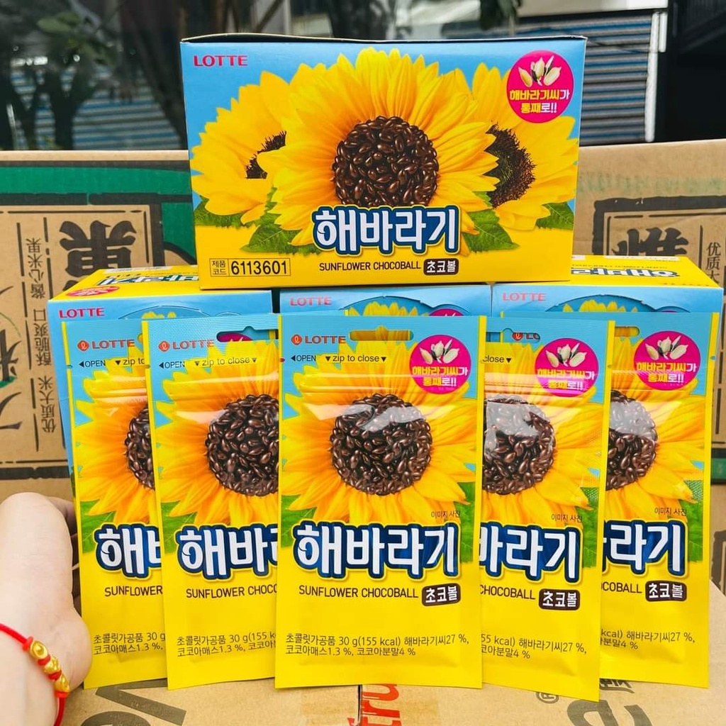 Lotte Korean Sunflower Covered Chocolate 30g | Shopee Philippines