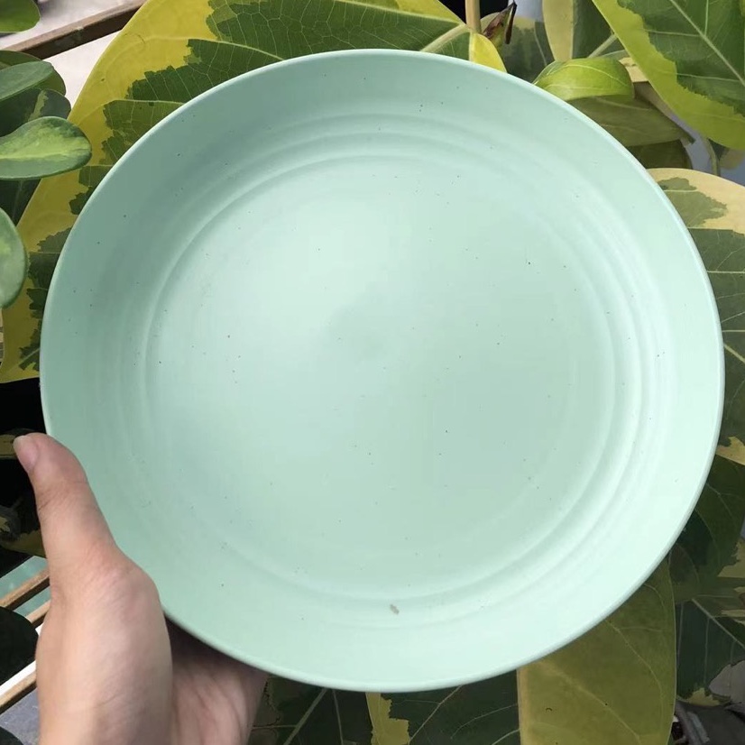 FAMILIFE 6/12PCS 23cm Fiber Wheat Straw Plate Matte Finished Plastic ...