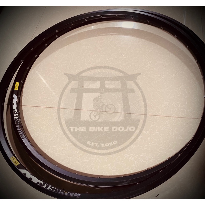 Mavic 319 Aluminum Rims (pair) | Shopee Philippines