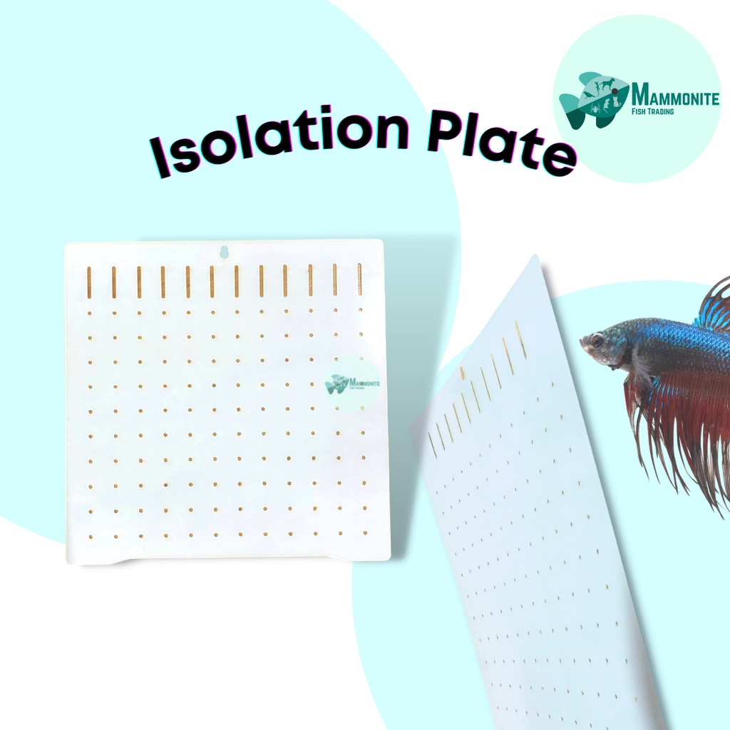 Aquarium Betta Fighting Fish Isolation Plate Divider | Shopee Philippines