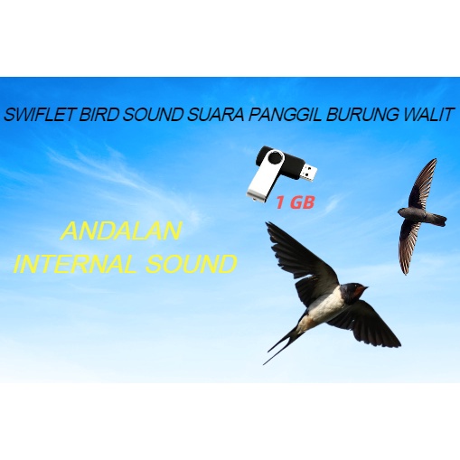SWIFTLET SWIFLET BIRD SOUND SUARA PANGGIL BURUNG WALIT WALET 燕子 声 MP3 ...