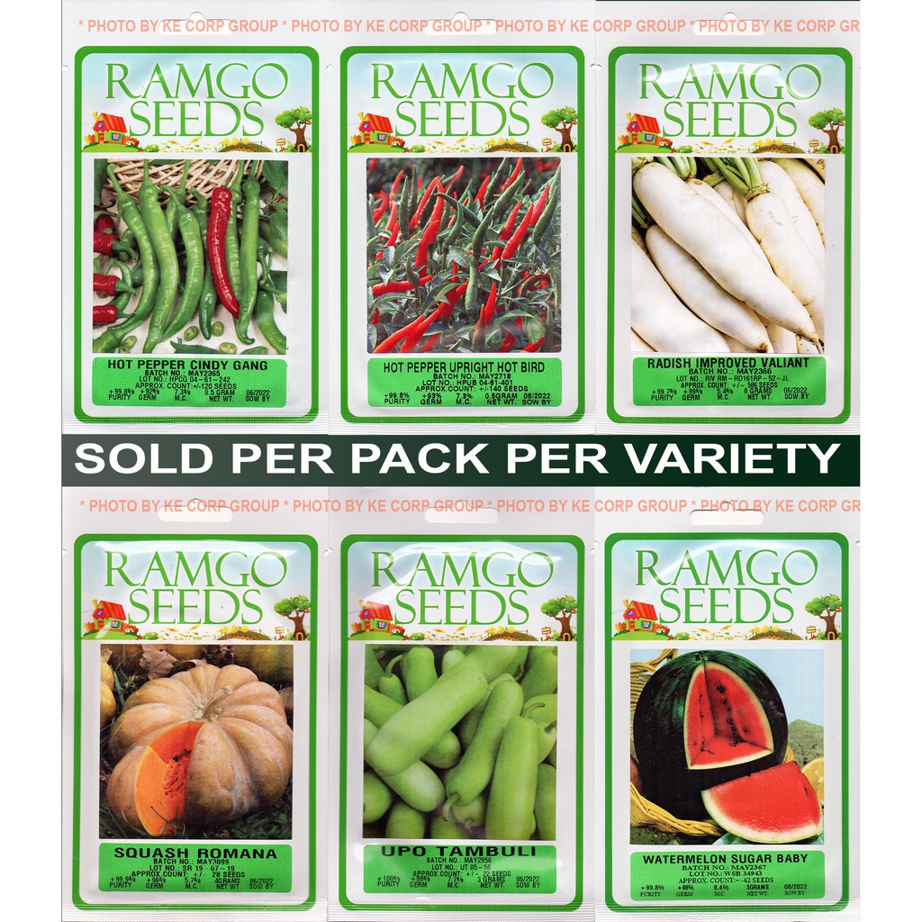 Ramgo Consumer Vegetable Packet Seeds [P-W] Pakchoi to Watermelon ...