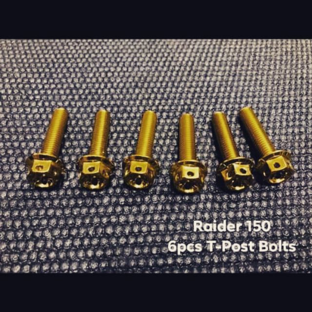 HENG T-POST BOLTS RAIDER 150 (6 PIECES) | Shopee Philippines