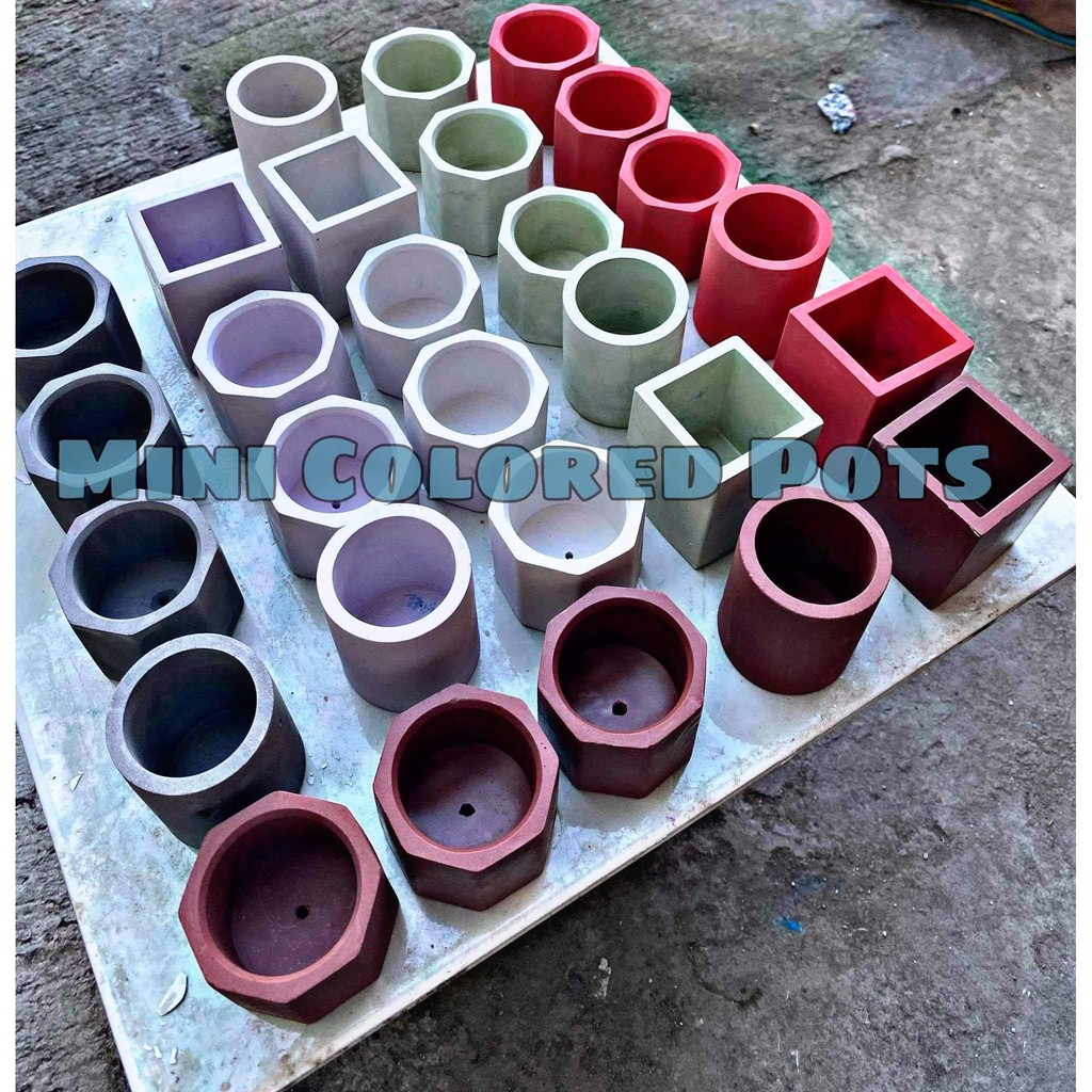 Mini Octagon Minimalist Pots for Cactus and Succulents | Shopee Philippines