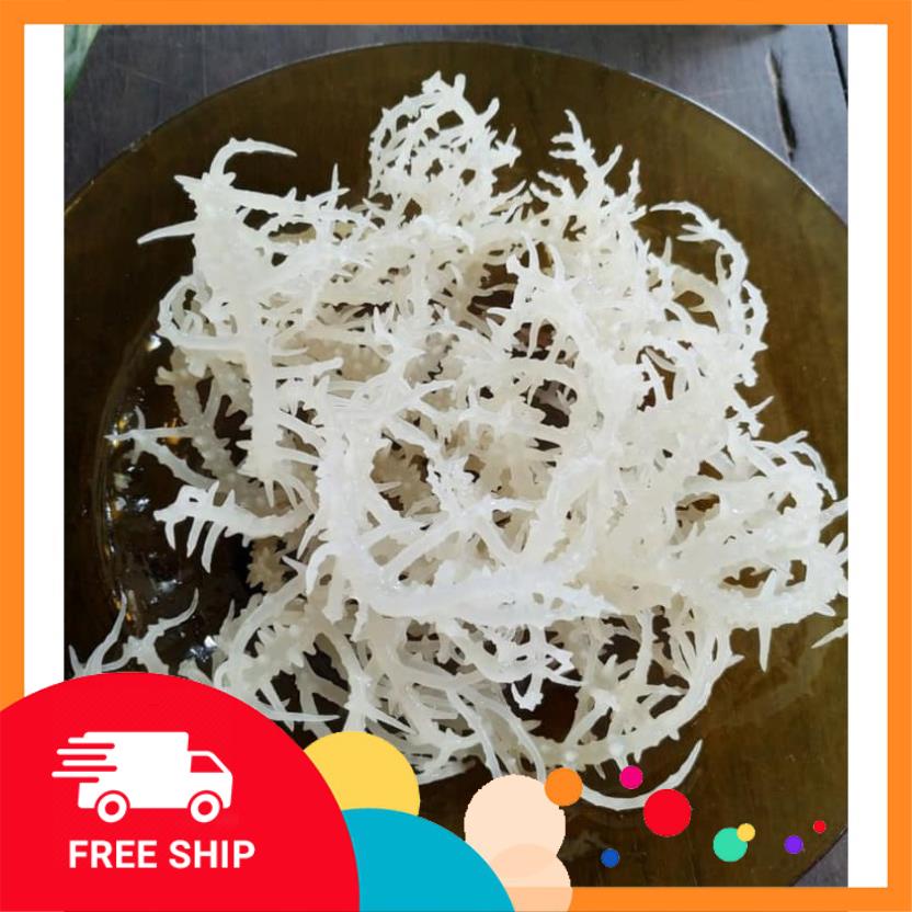 Crispy DELICIOUS TEA CARTILAGE SEAFOOD - 100G / 250G / 500G | Shopee ...