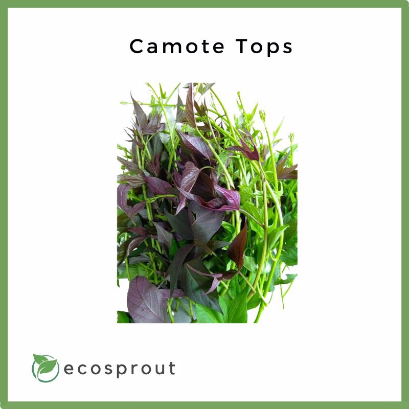 Fresh Camote Tops | 150g | Fresh Vegetables | Fresh Fruits | Groceries ...