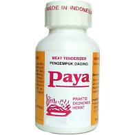 Paya Meat Tenderizer, Meat softener, 70 gr | Shopee Philippines