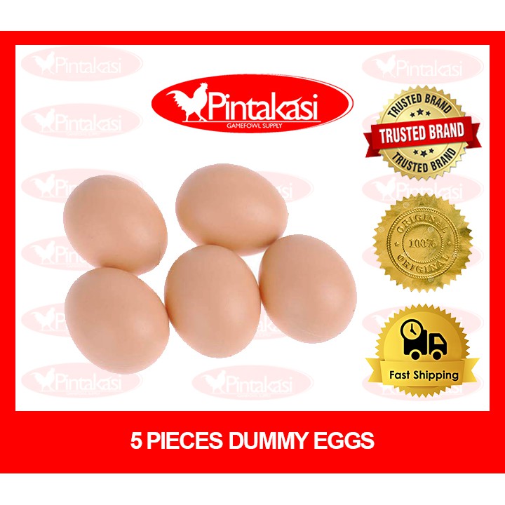 5 pieces Plastic Dummy Eggs for Gamefowl Hens Breeding to Avoid Pecking ...
